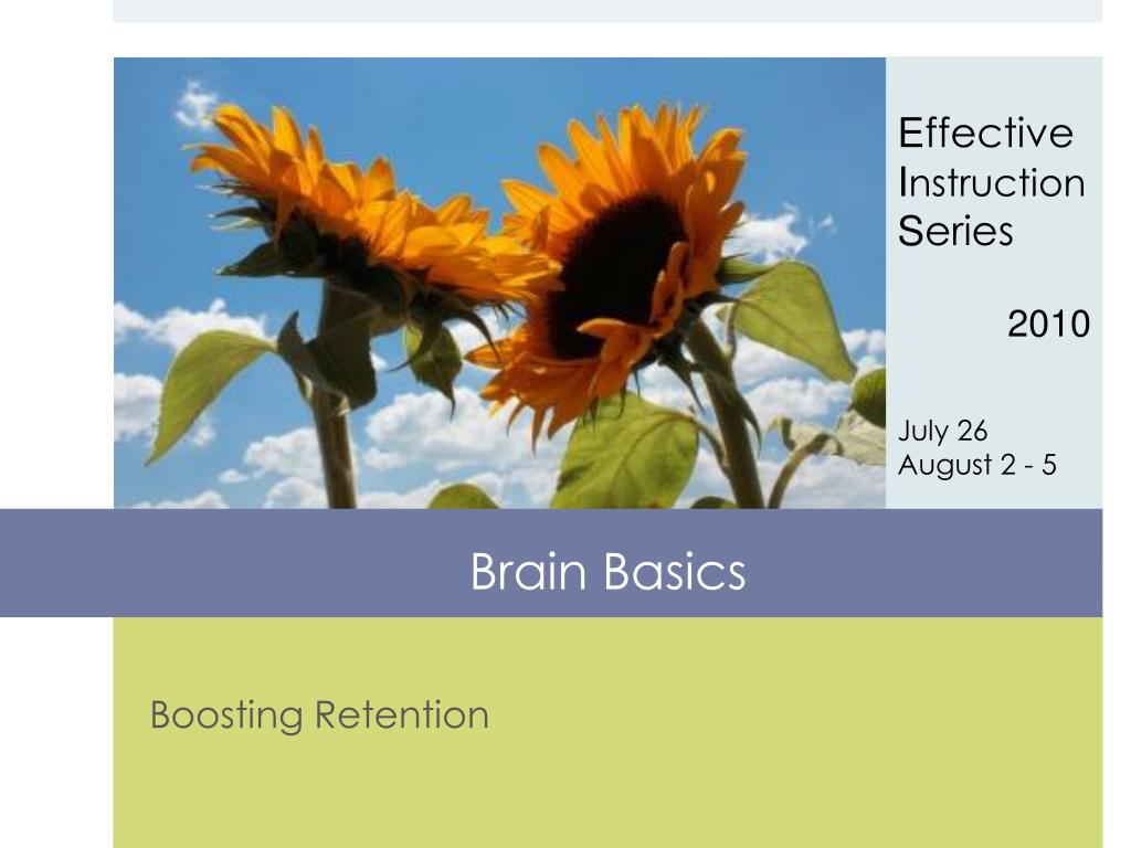PPT - Brain Basics PowerPoint Presentation, free download - ID:6025708