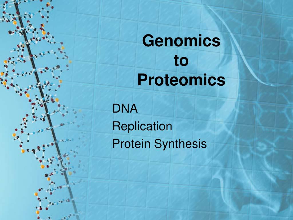 PPT - Genomics to Proteomics PowerPoint Presentation, free download ...