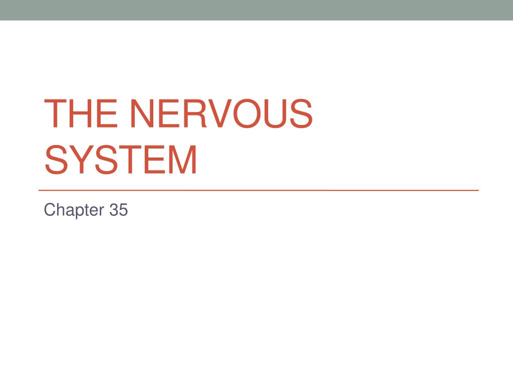 PPT - The Nervous System PowerPoint Presentation, free download - ID ...