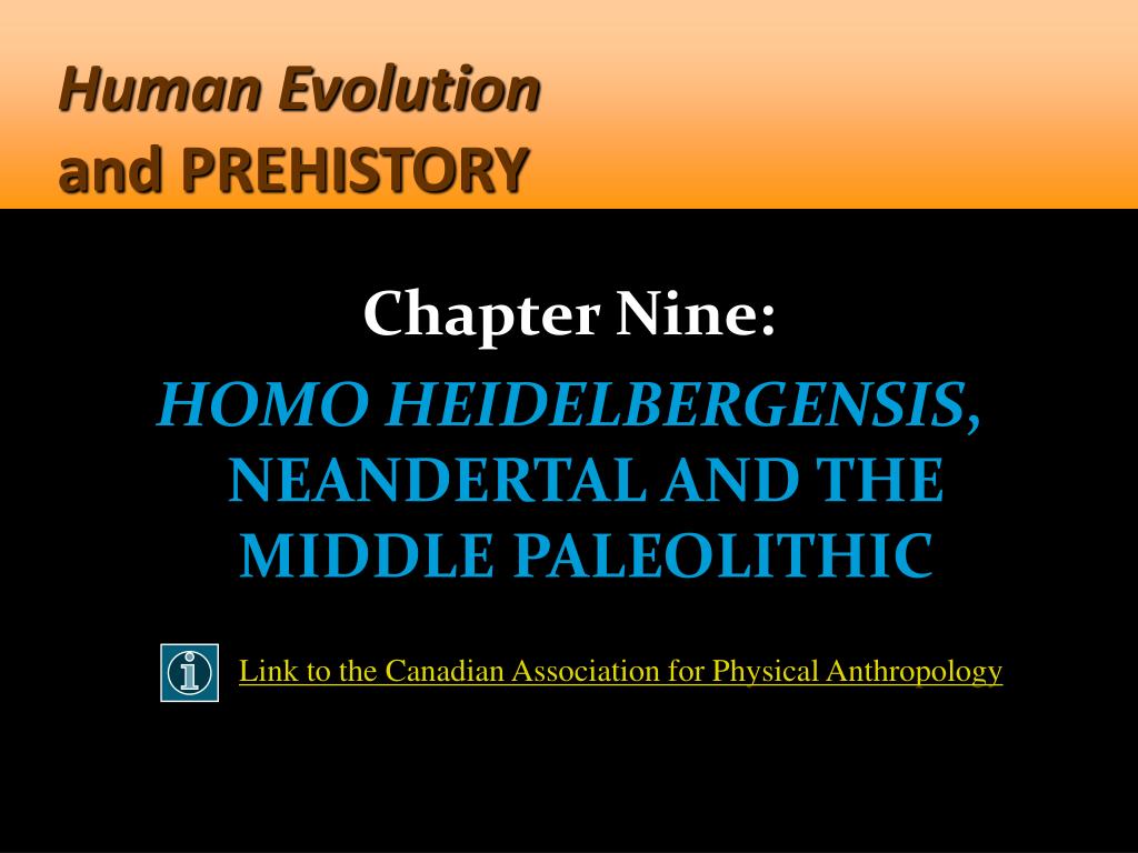 PPT - Human Evolution and PREHISTORY PowerPoint Presentation, free ...