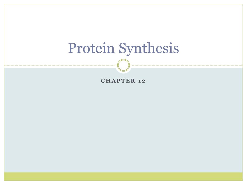 PPT - Protein Synthesis PowerPoint Presentation, free download - ID:6046517