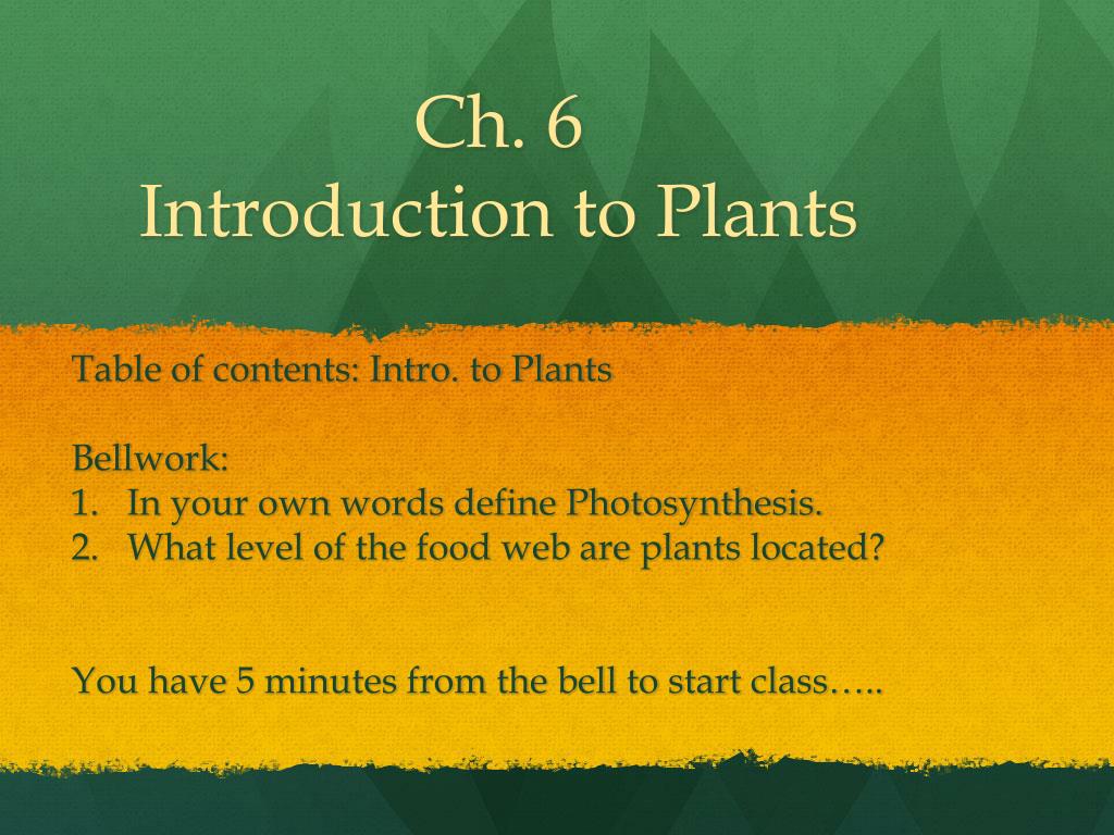 PPT - Ch. 6 Introduction to Plants PowerPoint Presentation, free ...