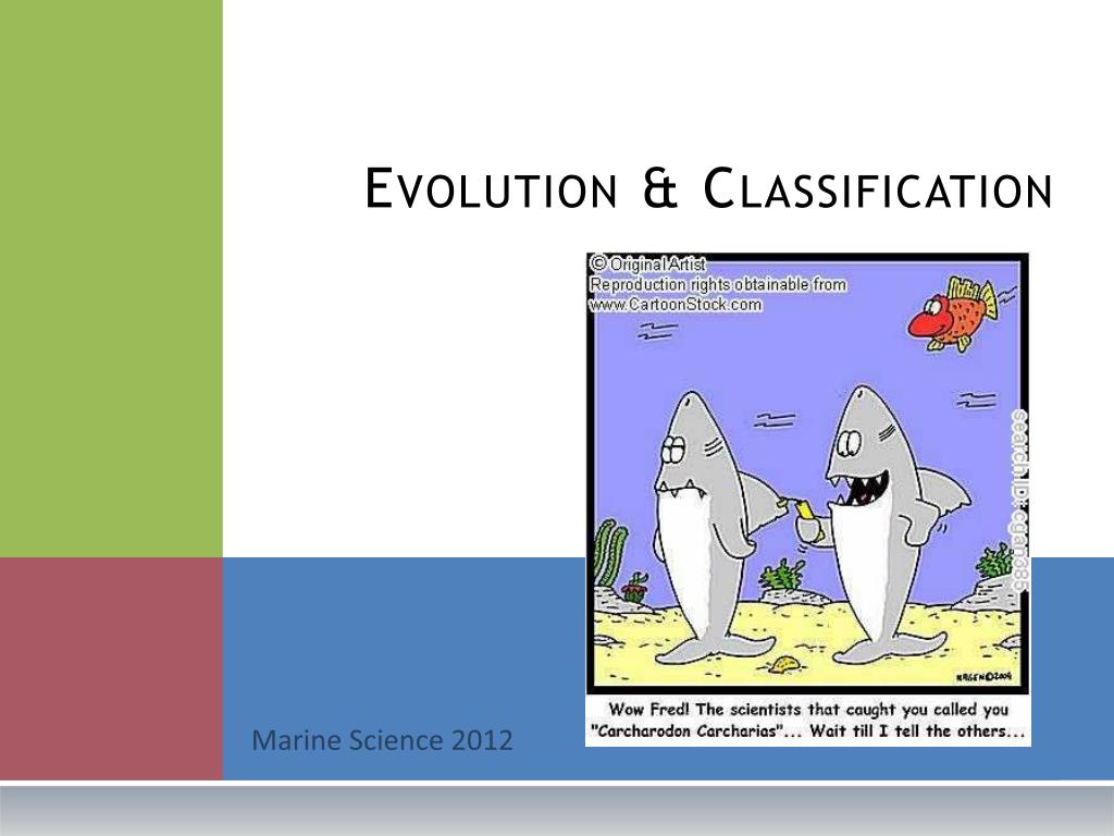 PPT - Evolution & Classification PowerPoint Presentation, free download ...