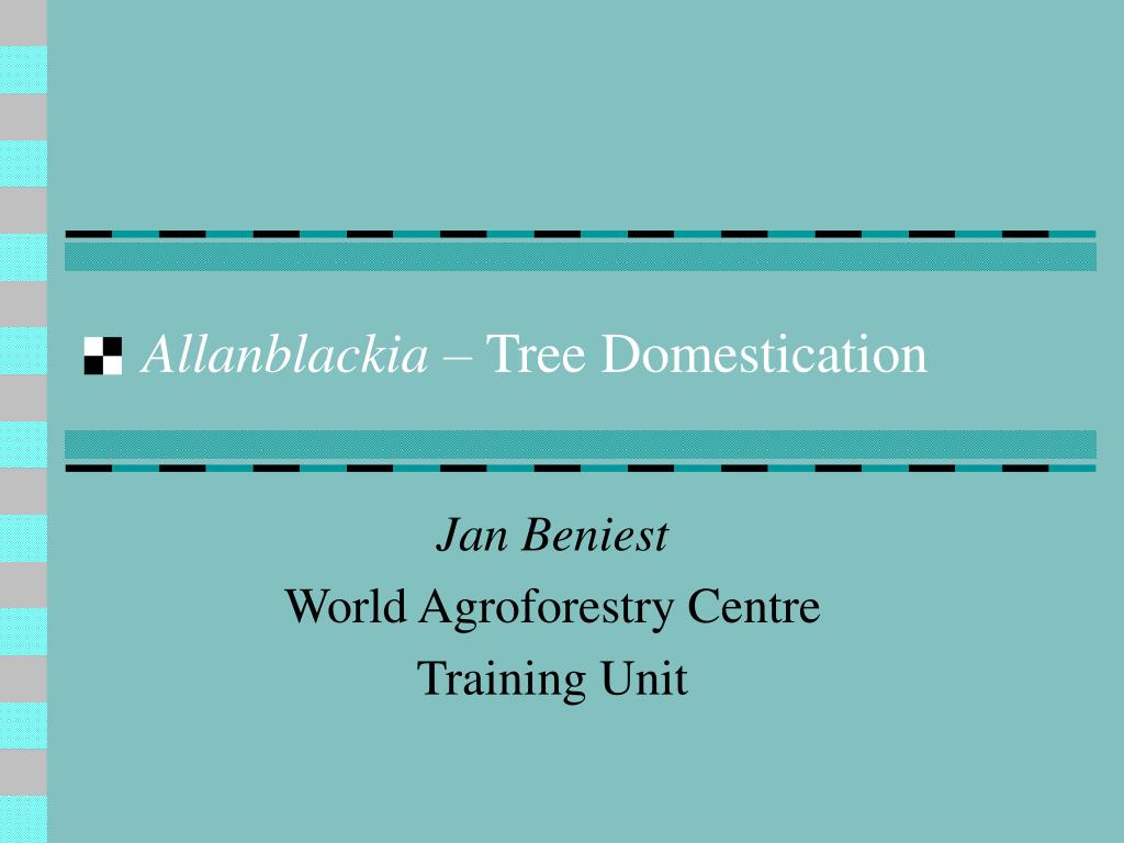 PPT - Allanblackia – Tree Domestication PowerPoint Presentation, free ...