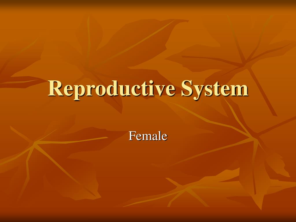PPT - Reproductive System PowerPoint Presentation, free download - ID ...