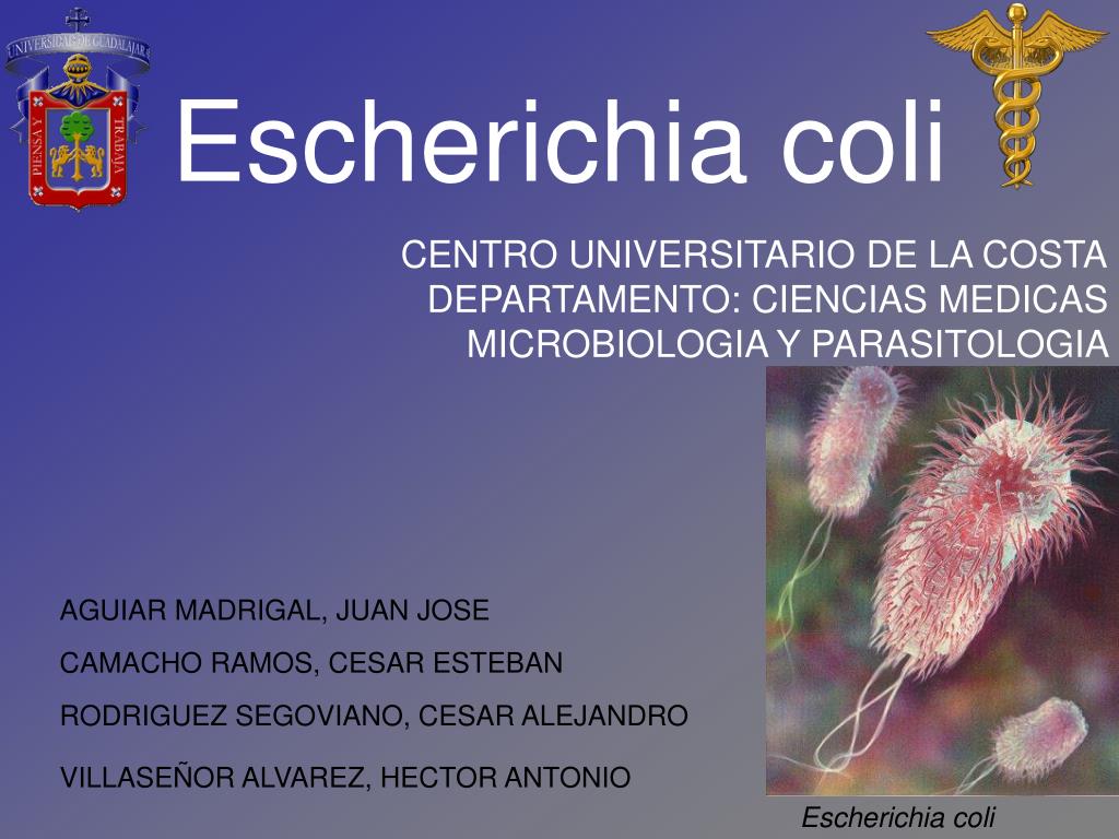 PPT - Escherichia coli PowerPoint Presentation, free download - ID:6059467