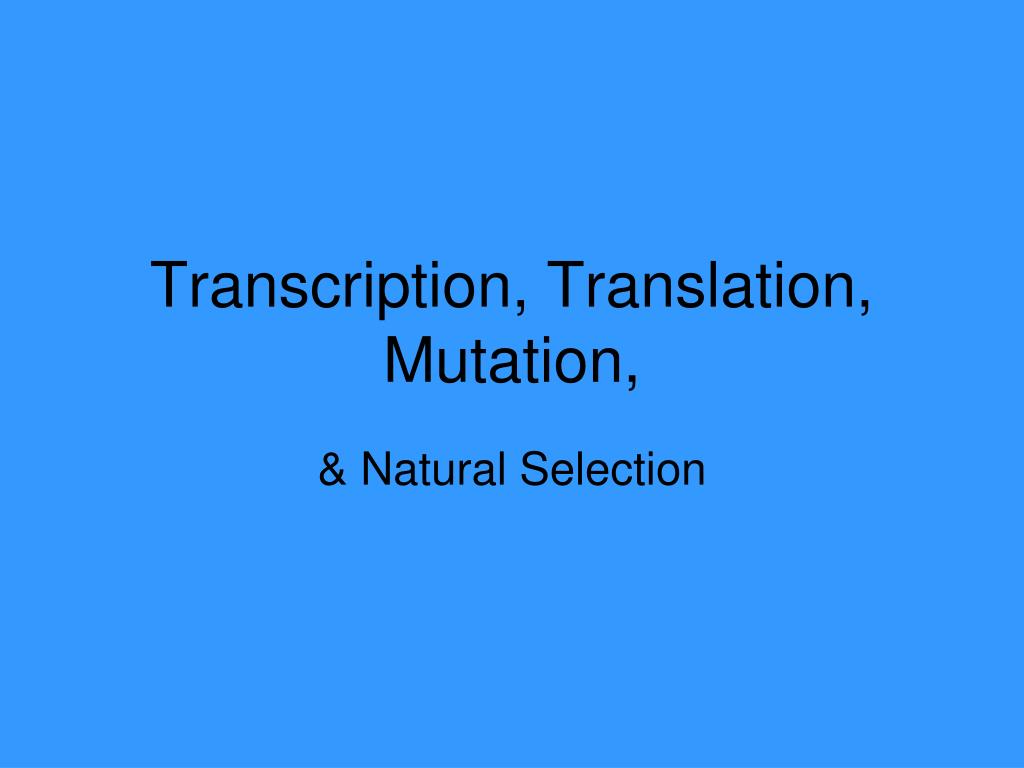 PPT - Transcription, Translation, Mutation, PowerPoint Presentation ...