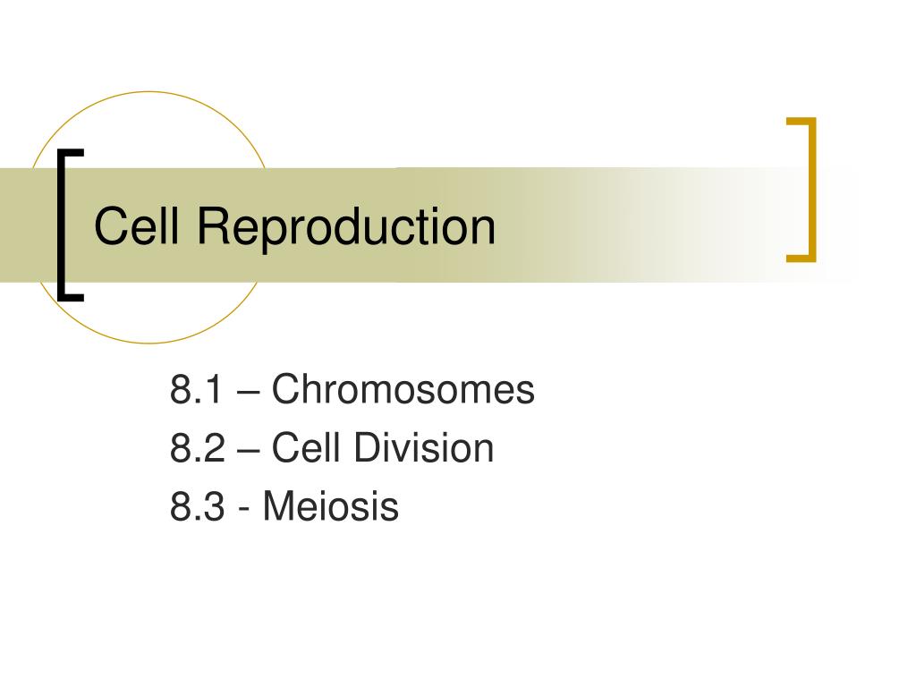 PPT - Cell Reproduction PowerPoint Presentation, free download - ID:6060307