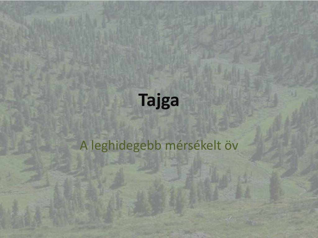 PPT - Tajga PowerPoint Presentation, free download - ID:6061294