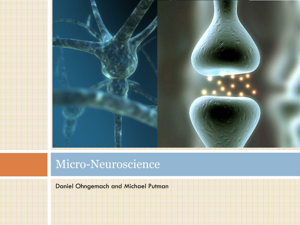 PPT - Micro-Neuroscience PowerPoint Presentation, free download - ID ...