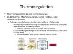 PPT - Thermoregulation PowerPoint Presentation, free download - ID:750606