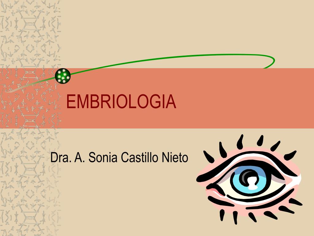 PPT - EMBRIOLOGIA PowerPoint Presentation, free download - ID:6066644