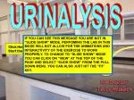 PPT - Clinical Urinalysis Review PowerPoint Presentation, free download ...