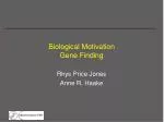 PPT - Biological Motivation PowerPoint Presentation, free download - ID ...