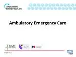 PPT - Basic Emergency Care PowerPoint Presentation, free download - ID ...
