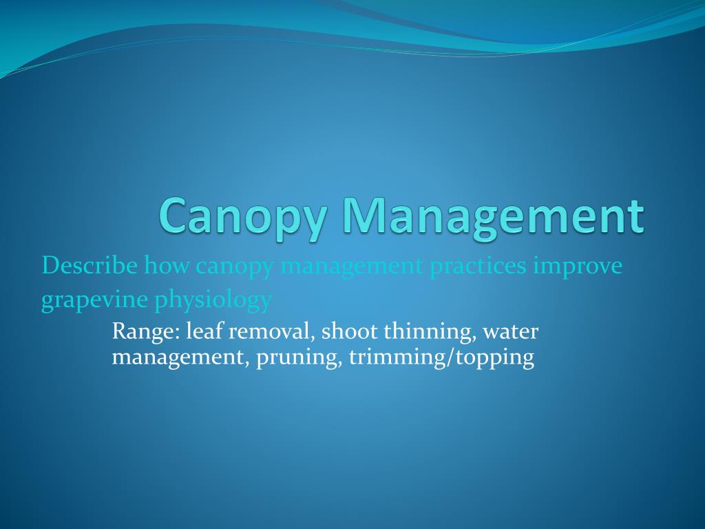 PPT - Canopy Management PowerPoint Presentation, free download - ID:6080770