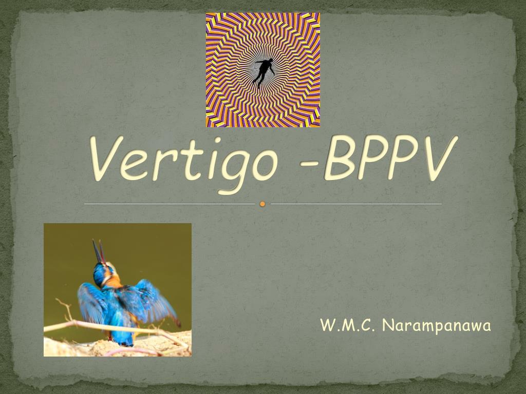 PPT - Vertigo -BPPV PowerPoint Presentation, free download - ID:6091739