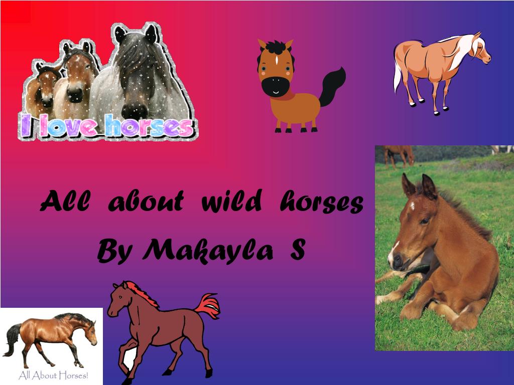 PPT - All about wild horses PowerPoint Presentation, free download - ID ...