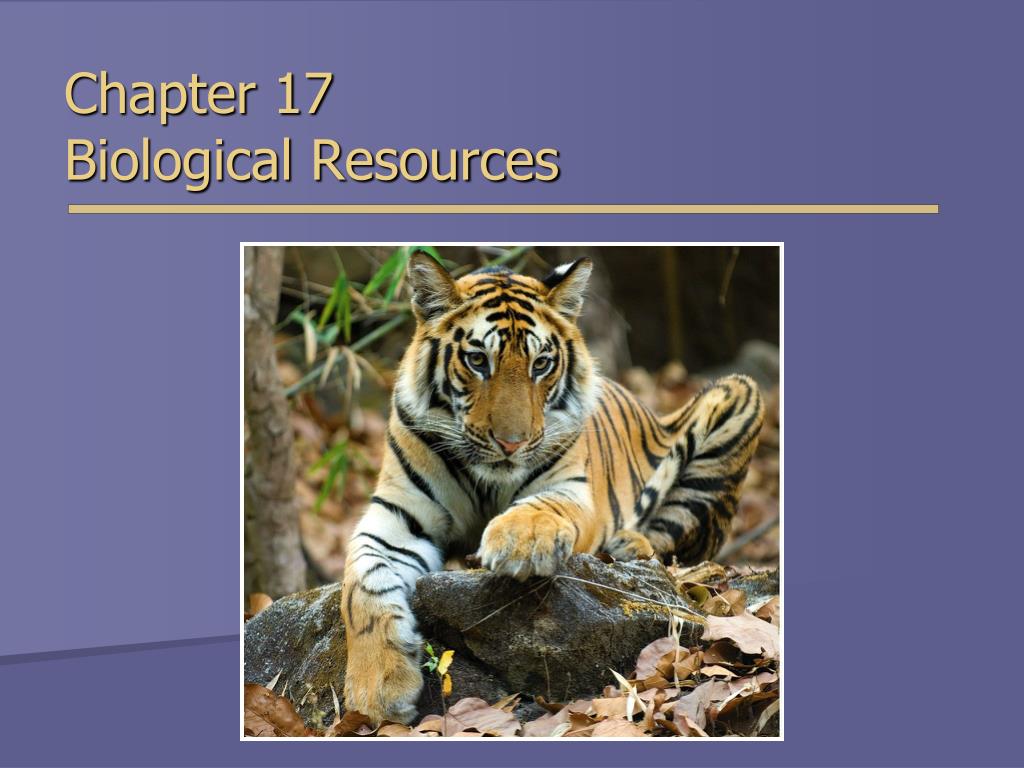 PPT - Chapter 17 Biological Resources PowerPoint Presentation, free ...