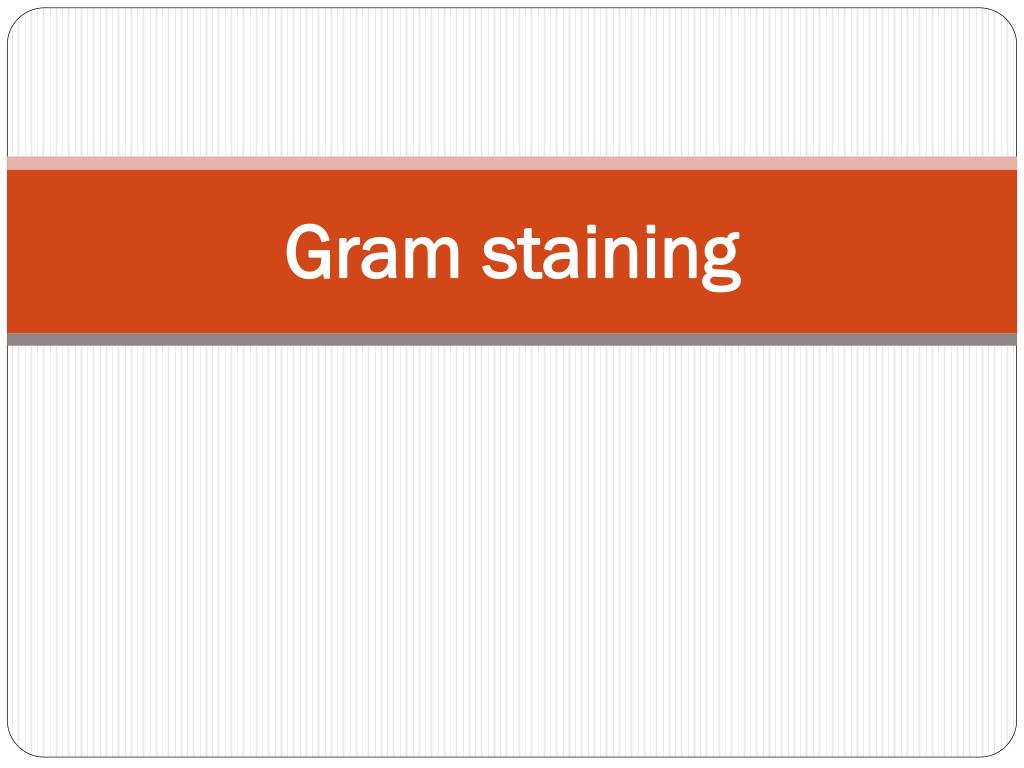 PPT - Gram staining PowerPoint Presentation, free download - ID:6099763