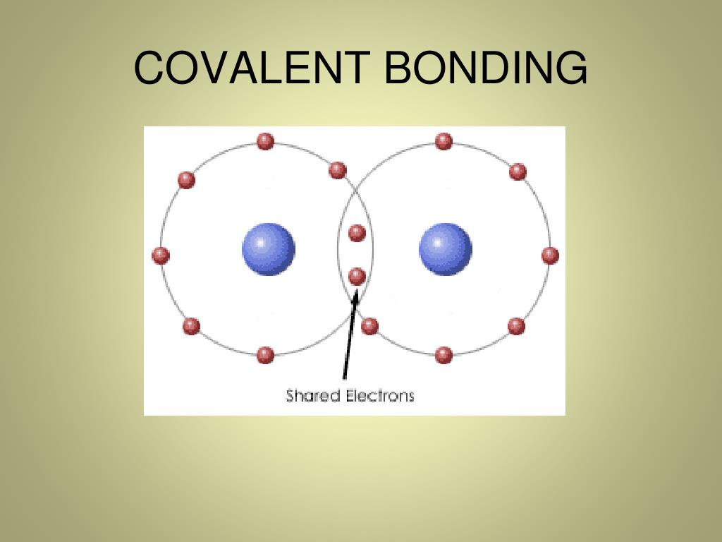 PPT - COVALENT BONDING PowerPoint Presentation, free download - ID:6101968