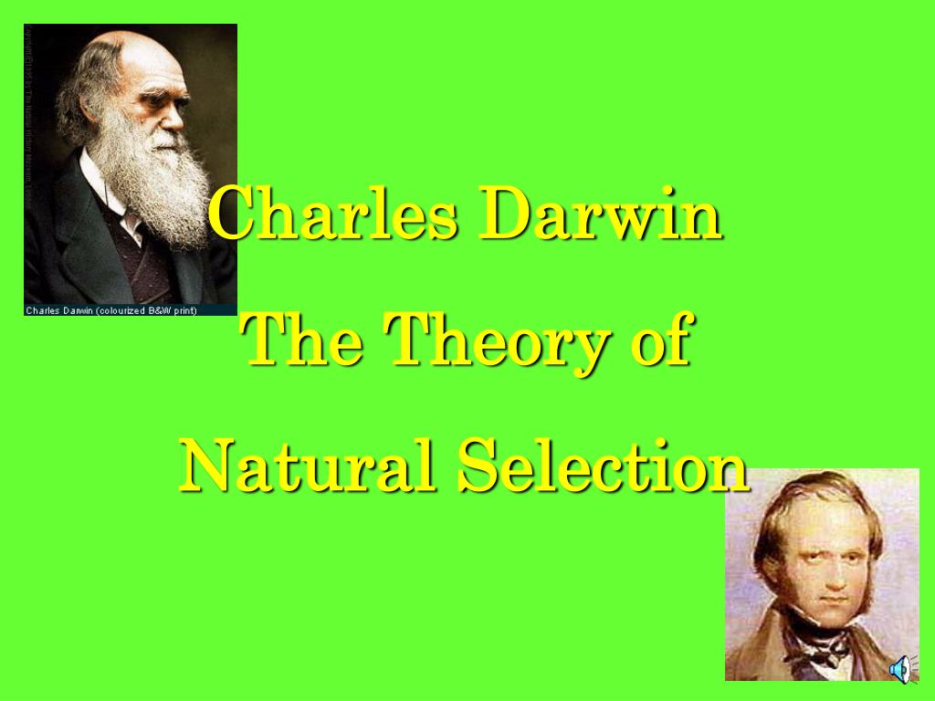 PPT - Charles Darwin The Theory of Natural Selection PowerPoint ...