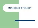 PPT - Homeostasis Chapter 30 pg 302 PowerPoint Presentation - ID:3179894