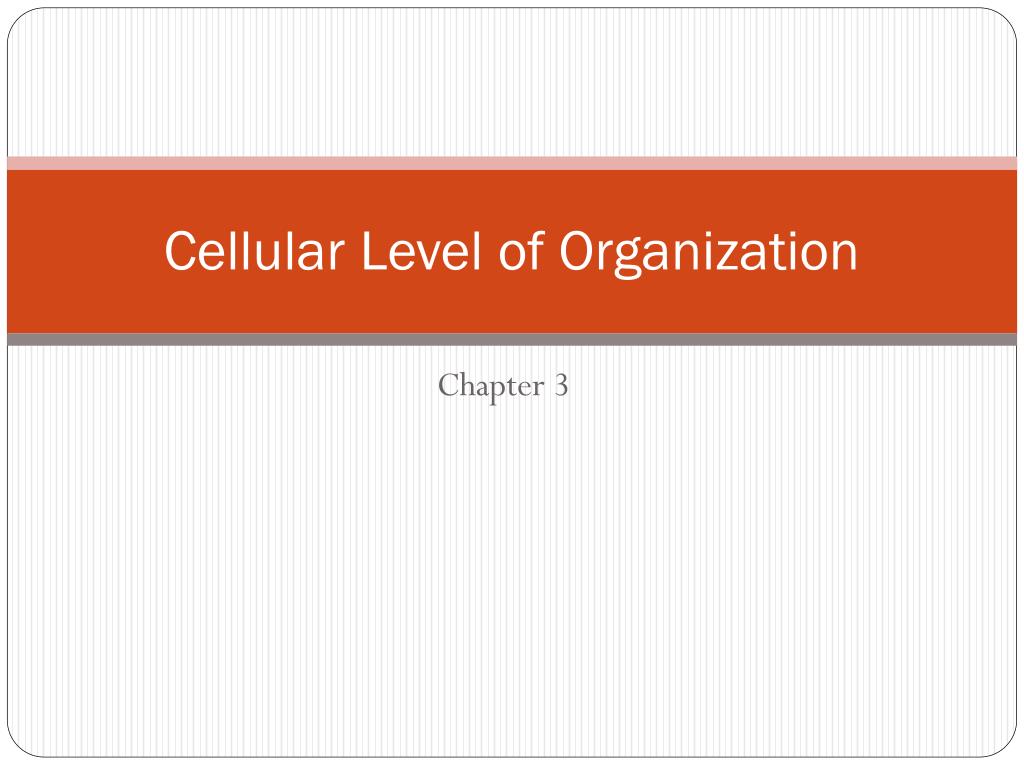 PPT - Cellular Level of Organization PowerPoint Presentation, free ...