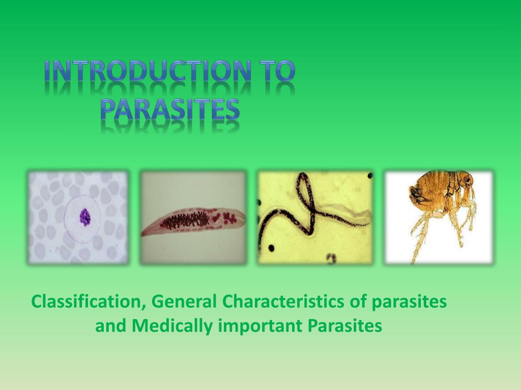 PPT - Introduction to Parasites PowerPoint Presentation, free download ...