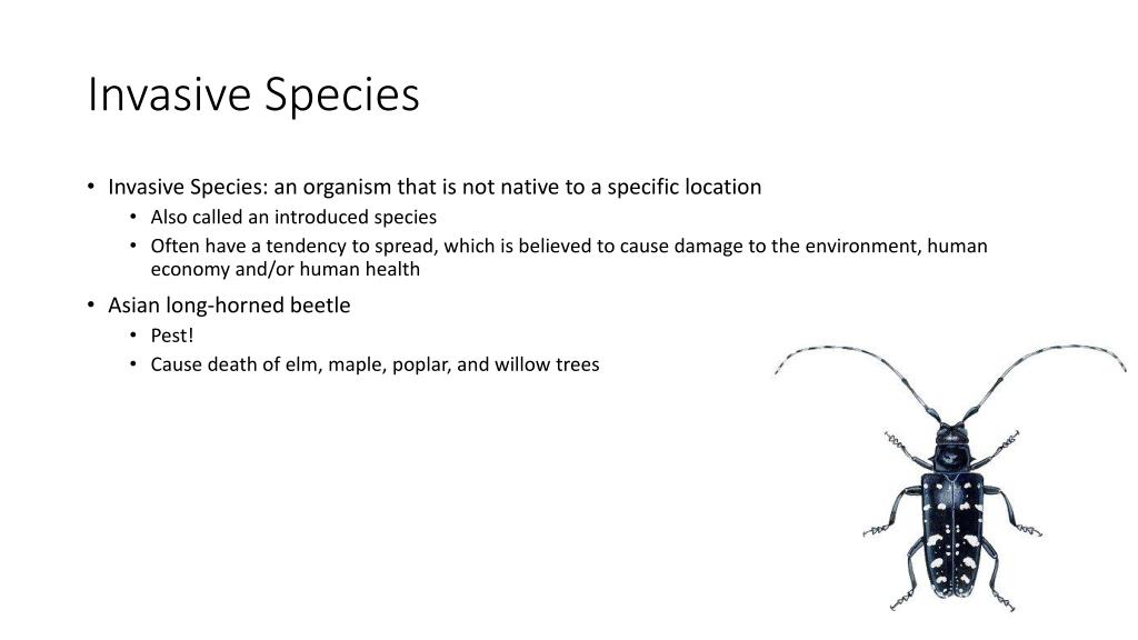 PPT - Invasive Species PowerPoint Presentation, free download - ID:6122374