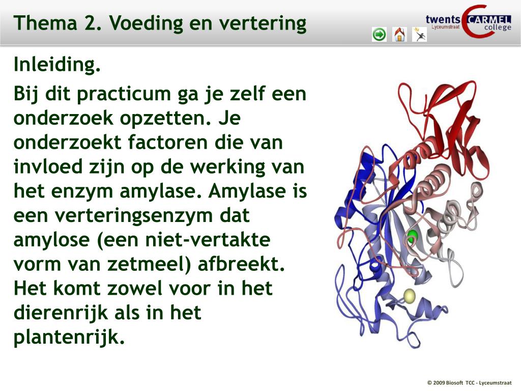 PPT - Thema 2. Voeding en vertering PowerPoint Presentation, free ...