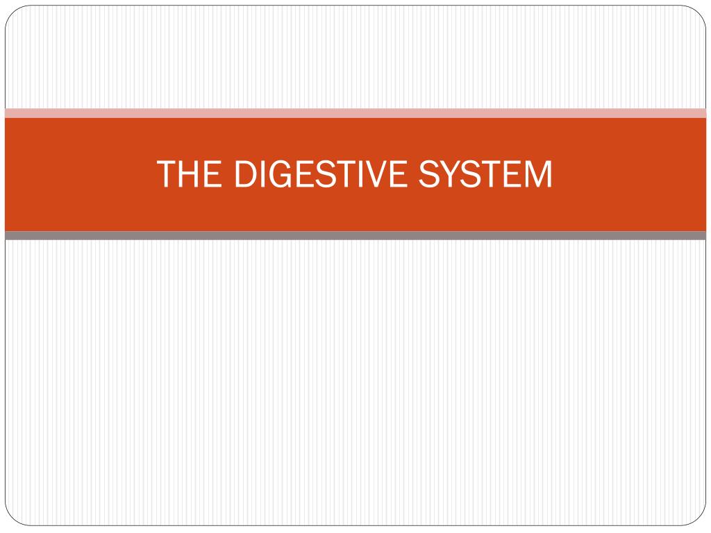 PPT - THE DIGESTIVE SYSTEM PowerPoint Presentation, free download - ID ...