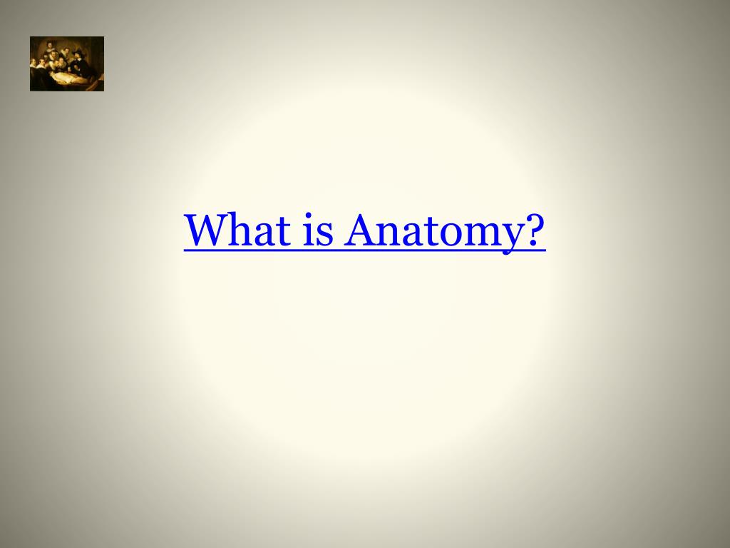 PPT - What is Anatomy? PowerPoint Presentation, free download - ID:6128754