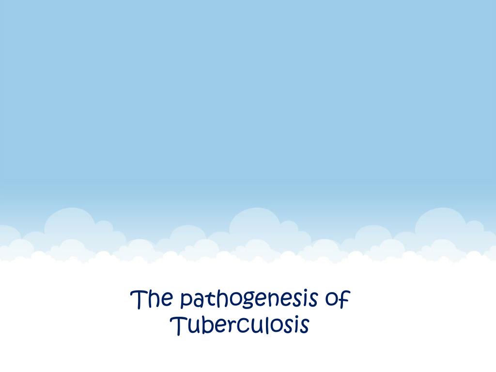 PPT - The pathogenesis of Tuberculosis PowerPoint Presentation, free ...