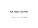 PPT - Infection After ACL Reconstruction PowerPoint Presentation, free download - ID:1983738