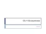 PPT - Chapter 4 Characteristics of Ecosystems PowerPoint Presentation ...