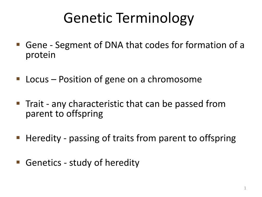 PPT - Genetic Terminology PowerPoint Presentation, free download - ID ...