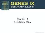 PPT - Chapter 13 RNA splicing PowerPoint Presentation, free download ...