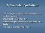 PPT - Epithelium PowerPoint Presentation, free download - ID:2439694