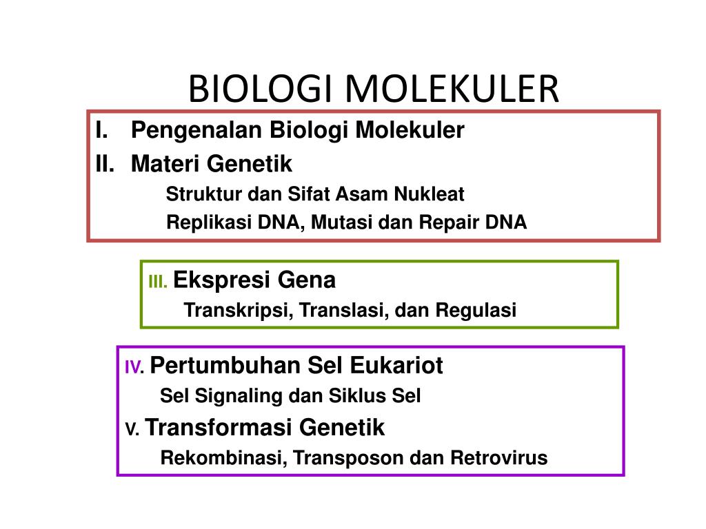 PPT - BIOLOGI MOLEKULER PowerPoint Presentation, free download - ID:6156861