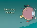 PPT - Vitreous and Retina Pediatric Ophthalmology PowerPoint ...