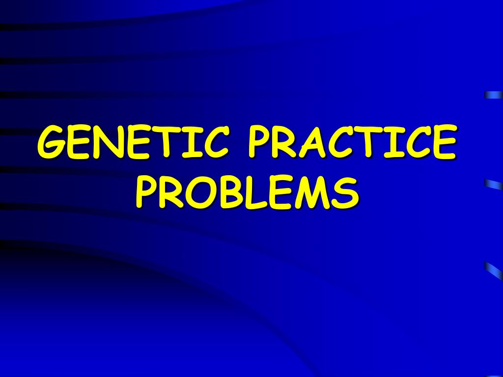 PPT - GENETIC PRACTICE PROBLEMS PowerPoint Presentation, free download ...