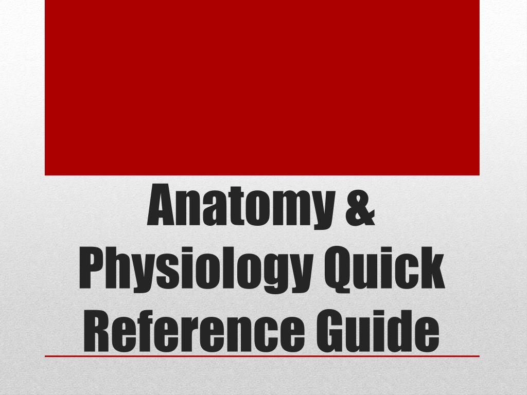 PPT - Anatomy & Physiology Quick Reference Guide PowerPoint ...