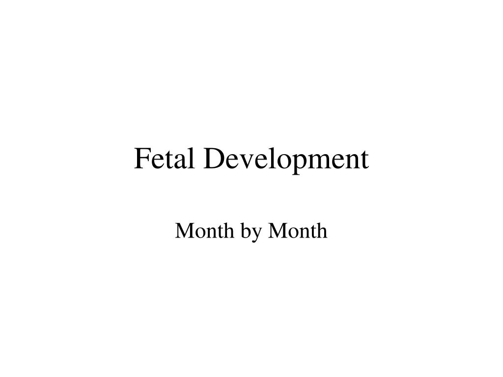 PPT - Fetal Development PowerPoint Presentation, free download - ID:6162741