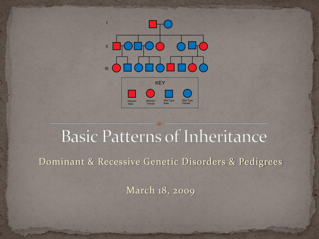 PPT - Basic Patterns of Inheritance PowerPoint Presentation, free ...