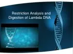 PPT - Restriction Digestion and Analysis of Lambda DNA Kit PowerPoint ...