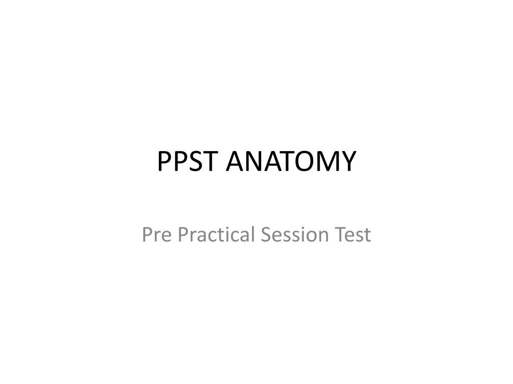 PPT - PPST ANATOMY PowerPoint Presentation, free download - ID:6168726
