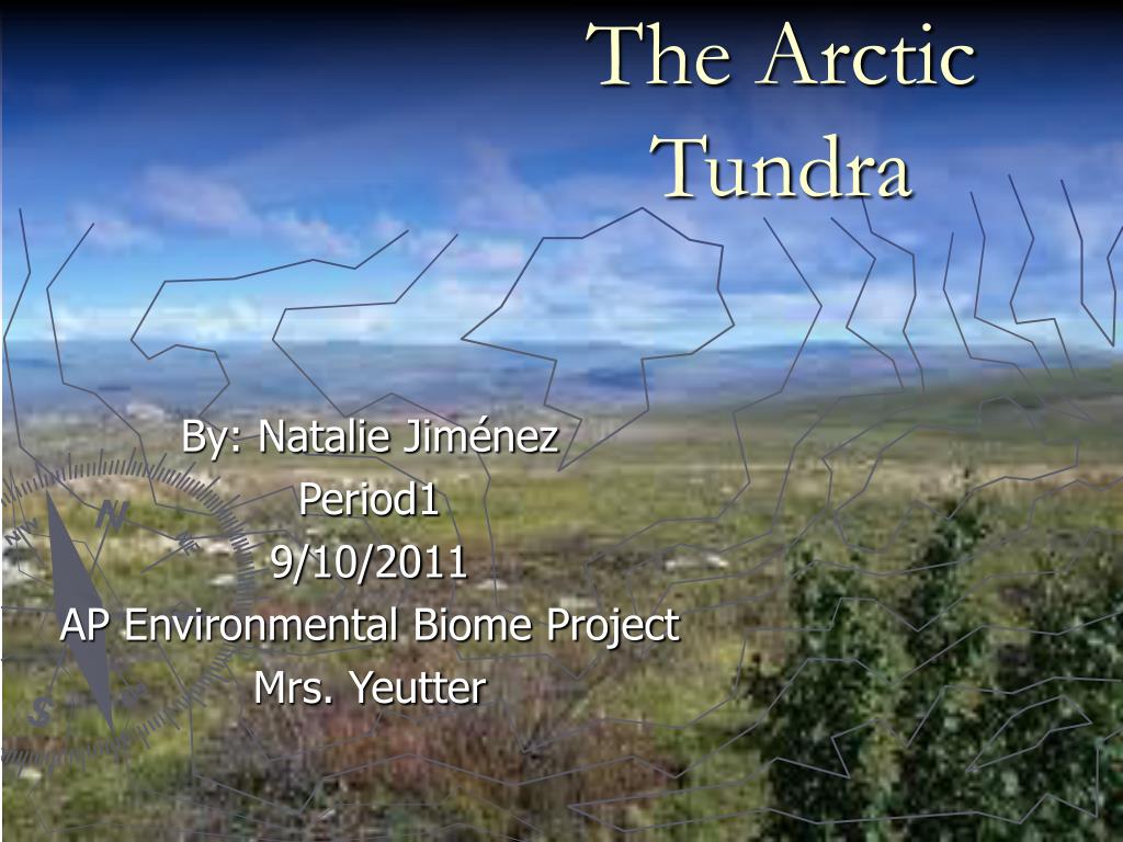 PPT - The Arctic Tundra PowerPoint Presentation, free download - ID:6175337