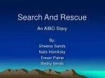 PPT - Search and Rescue Operations PowerPoint Presentation, free ...