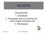 PPT - Reino Monera PowerPoint Presentation, free download - ID:849758